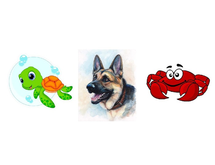 Zvířata, rostliny :: English-paja